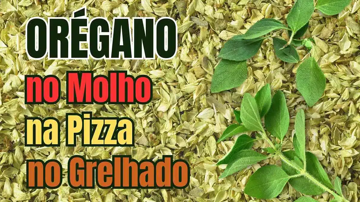 Orégano: A Jornada do Sabor - Cozinhe com o Mestre